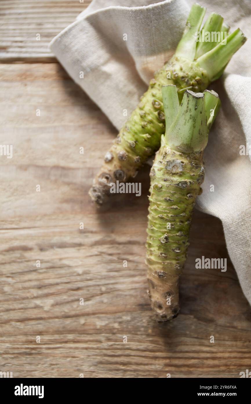 Wasabi care hi-res stock photography and images - Alamy