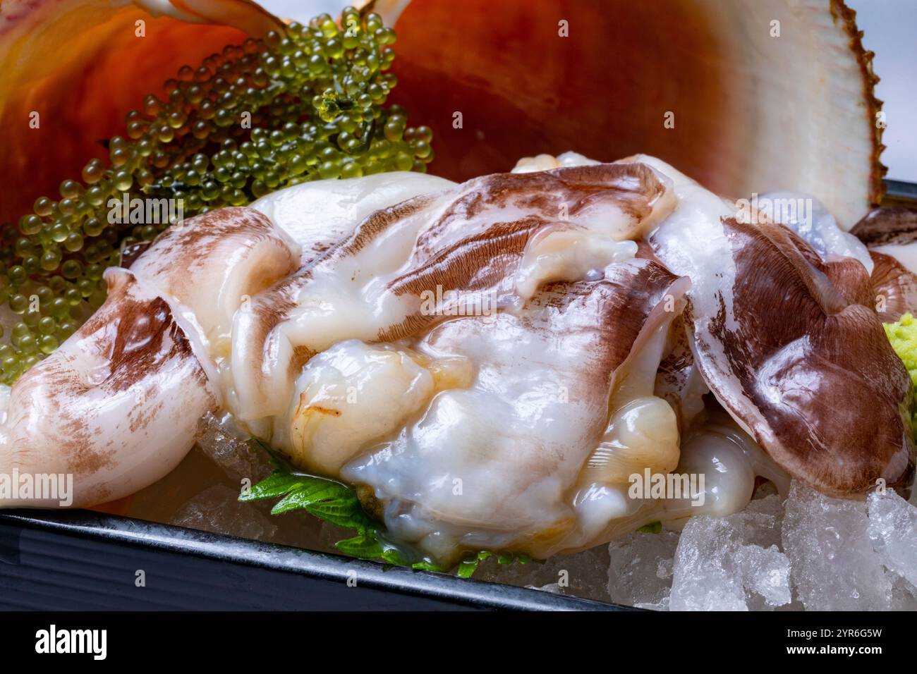Torigai, Japanese Egg Cockles Stock Photo - Alamy