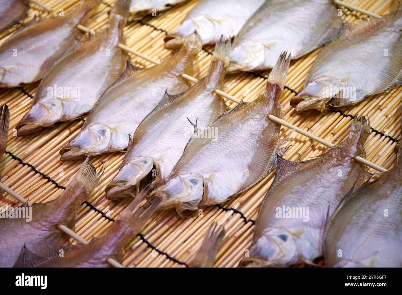 Sakaiminato fish center hi-res stock photography and images - Alamy