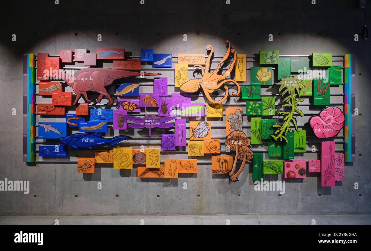 A colorful artwork, illustration of various species families. At the ...