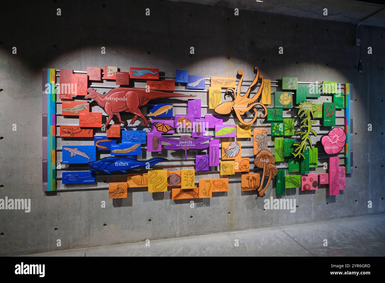 A colorful artwork, illustration of various species families. At the ...