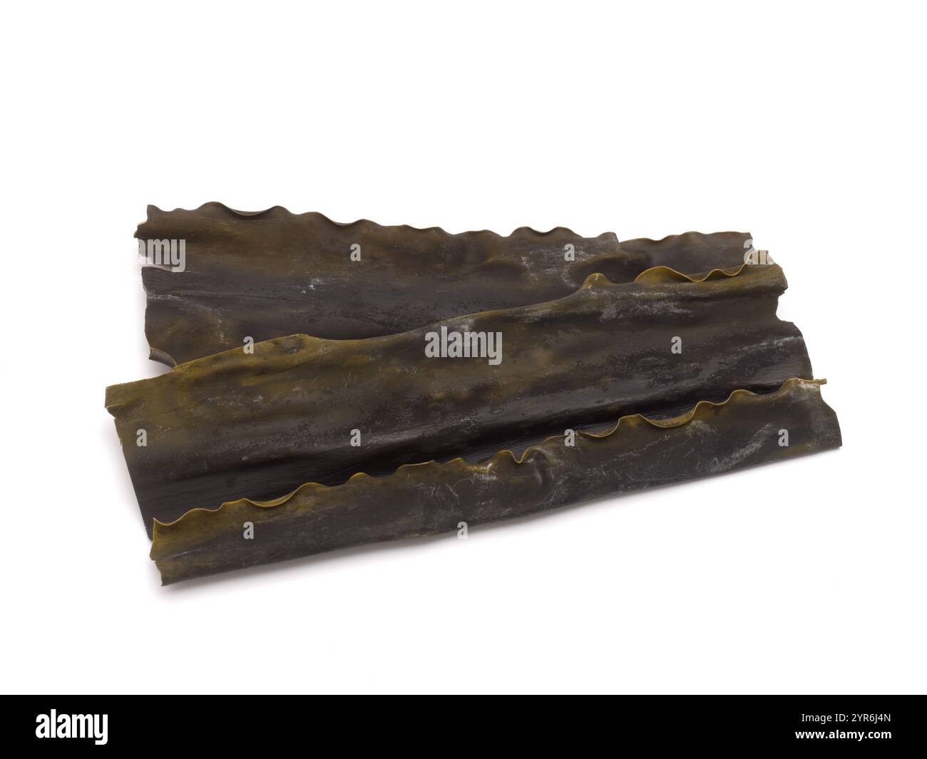 Hidaka Cut Out Stock Images & Pictures - Alamy