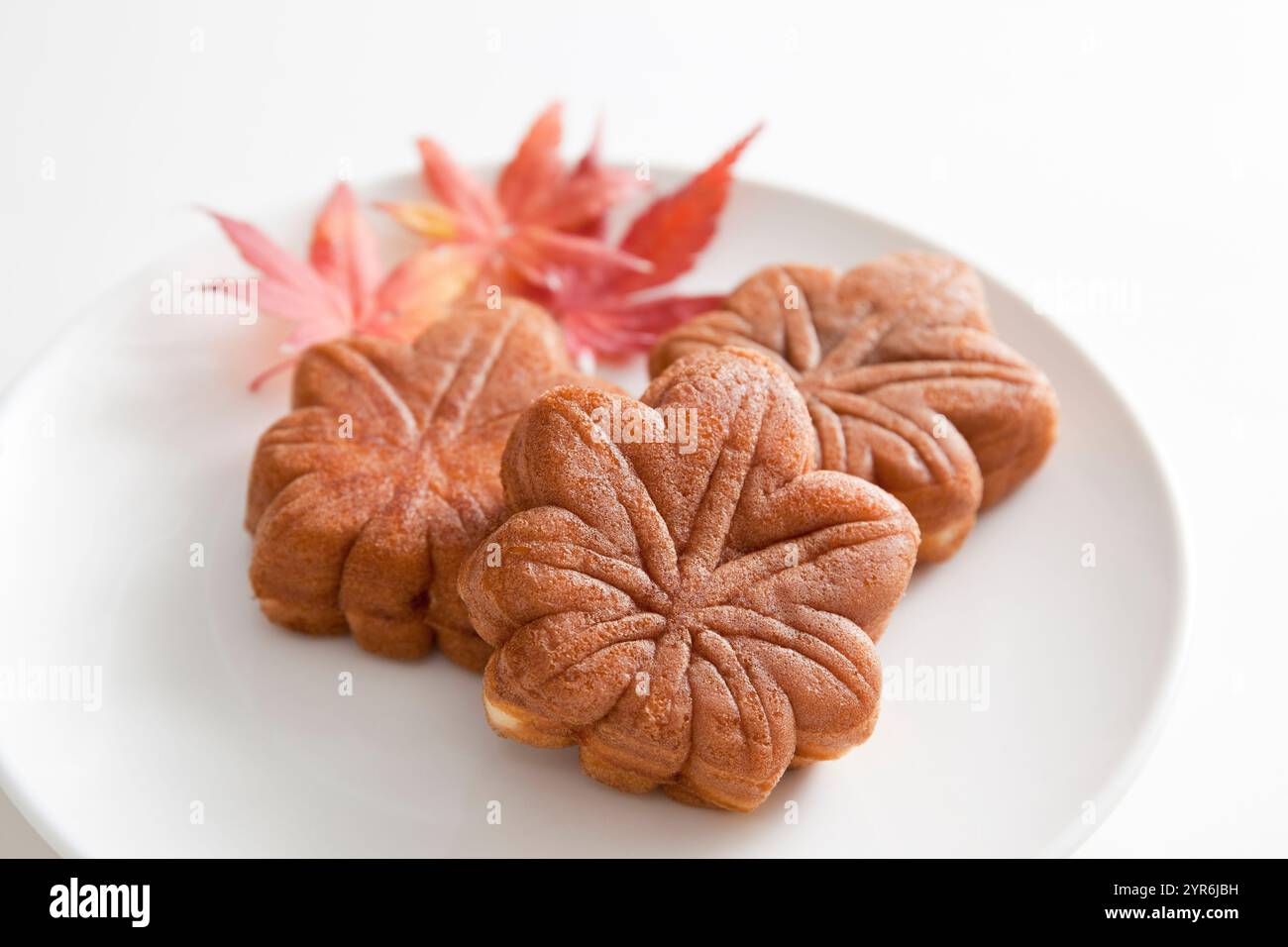 Momiji hi-res stock photography and images - Alamy