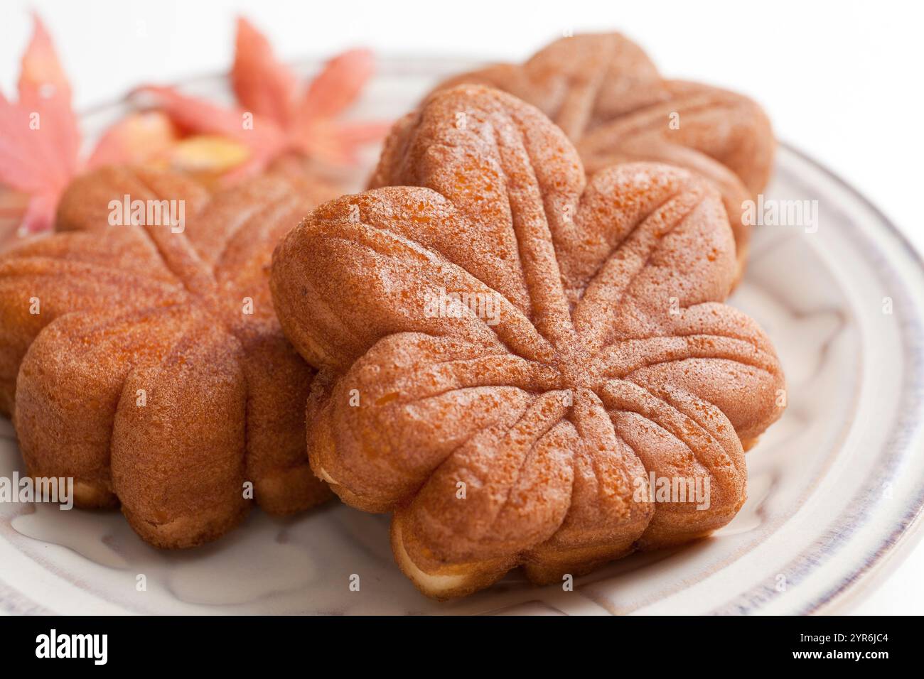 Japanese momiji hi-res stock photography and images - Alamy