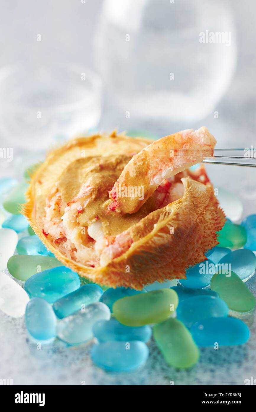 Crab shell of hair crab Stock Photo - Alamy