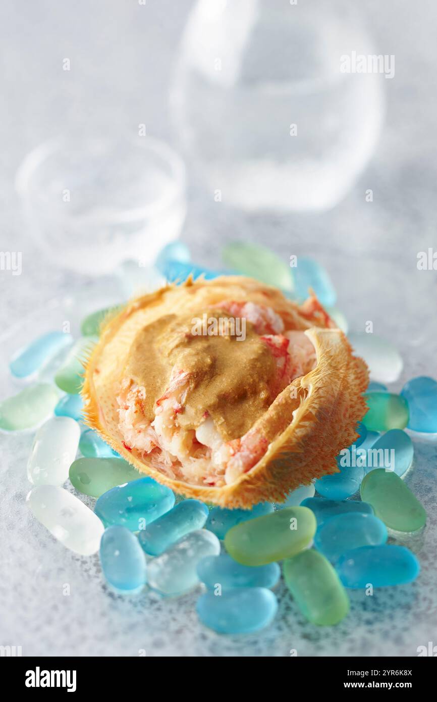 Crab shell of hair crab Stock Photo - Alamy