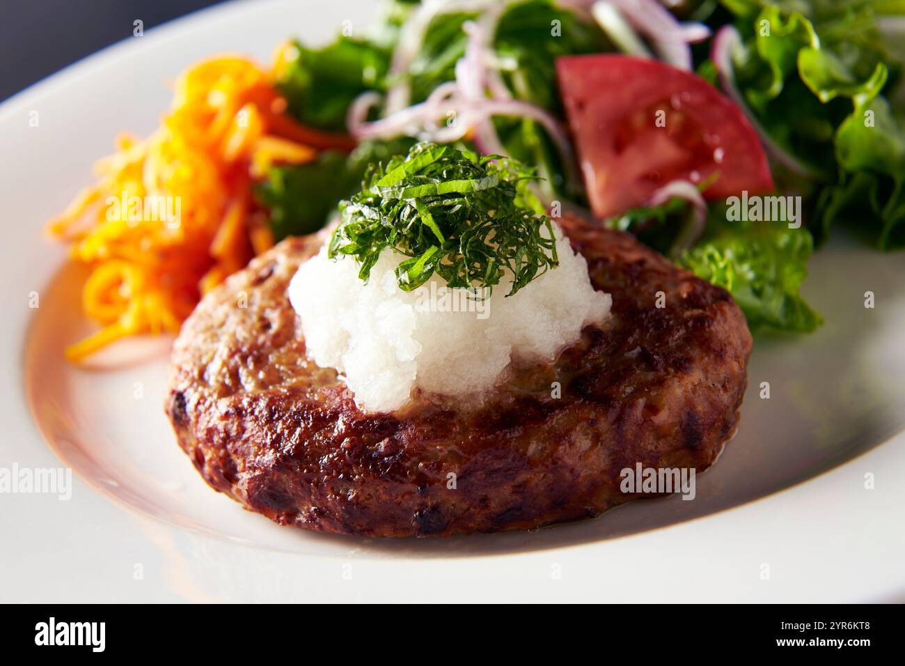 Japanese style hamburg steak with daikon hi-res stock photography and ...