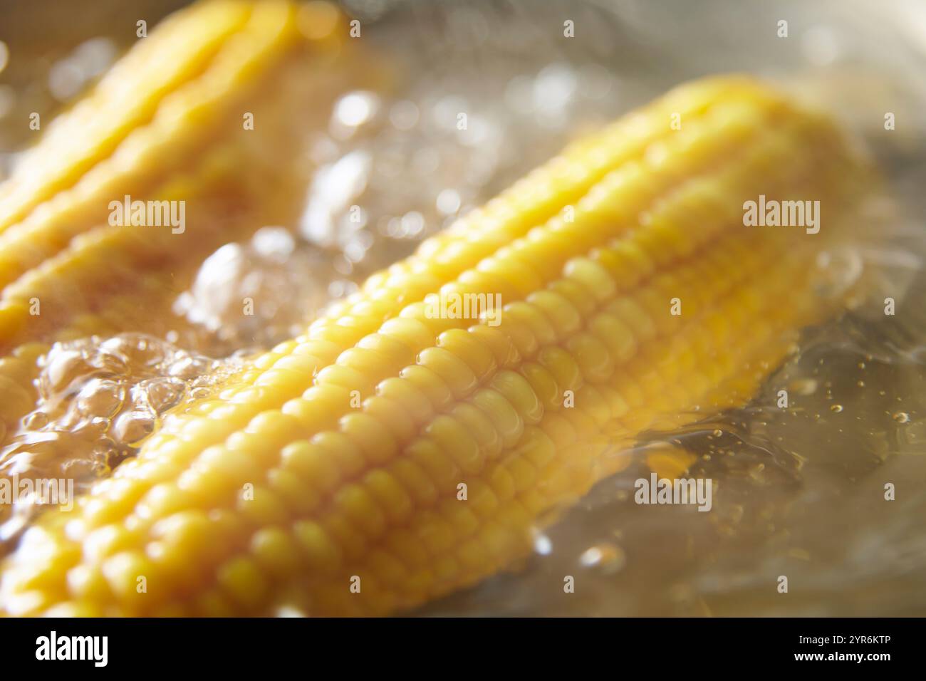 Boiling fresh corn hi-res stock photography and images - Alamy