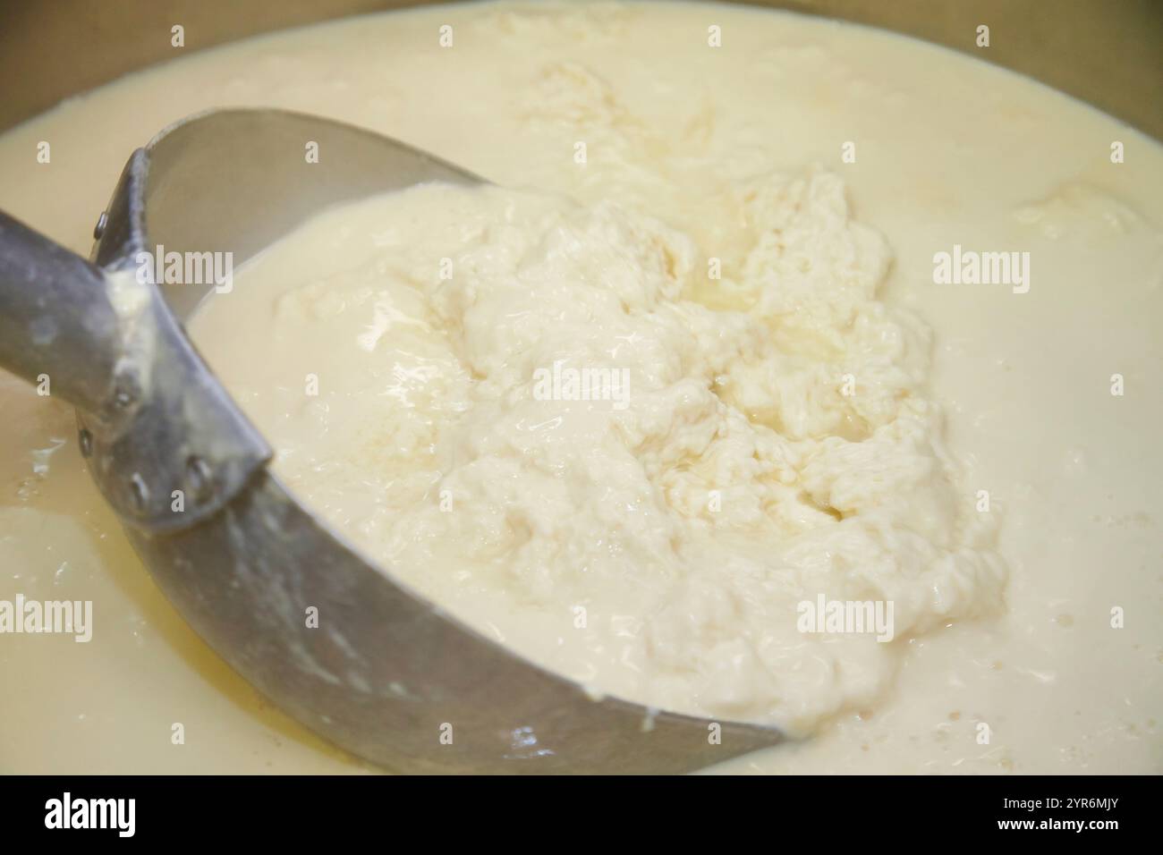 Photo of tofu making process Stock Photo - Alamy