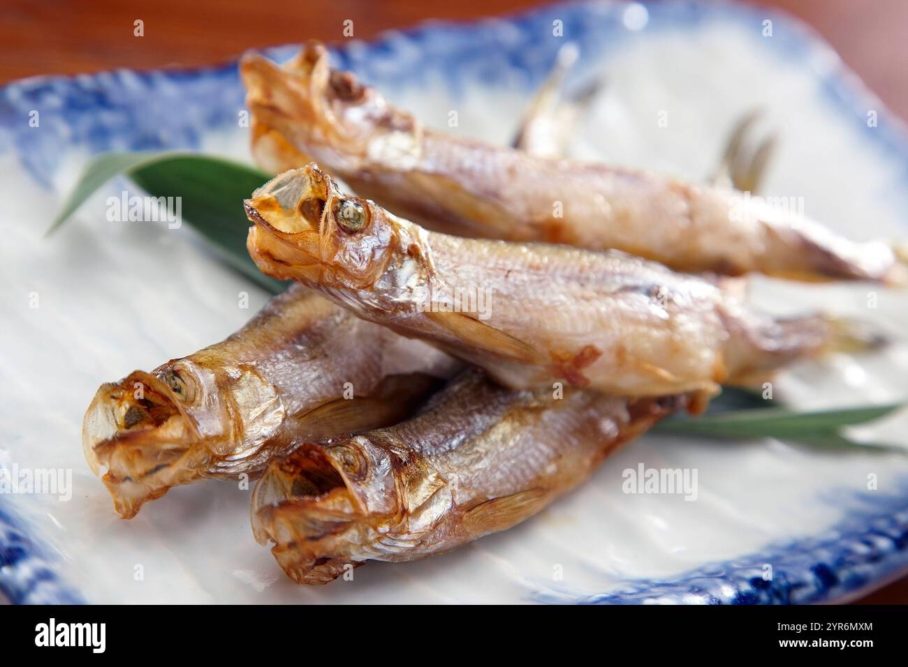 Shishamo Fish