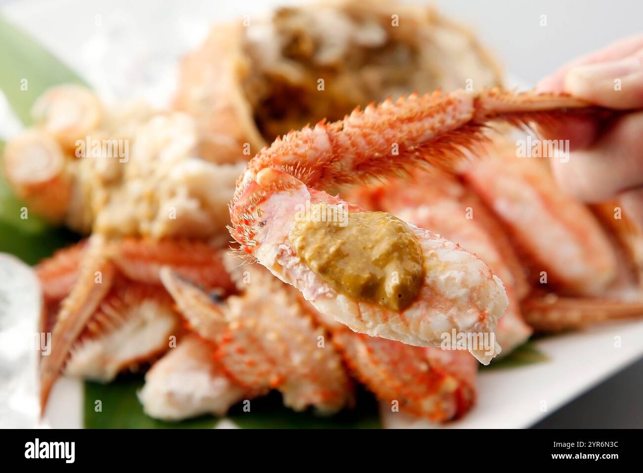 Hairy crab, Miso-like Paste inside Crab Shells Stock Photo - Alamy