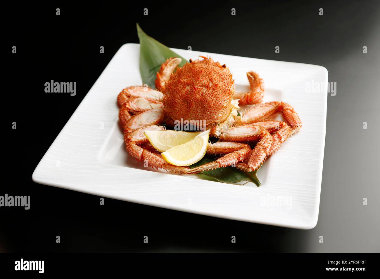 Horsehair crab hi-res stock photography and images - Alamy