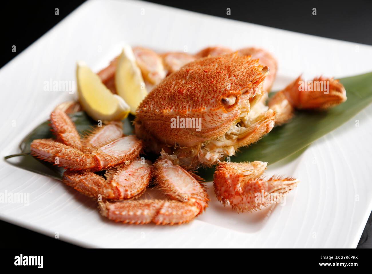 Horsehair crab hi-res stock photography and images - Alamy