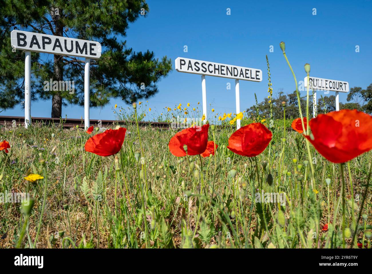 WWI battlefield place names lining the railway line at Amiens, Legacy ...