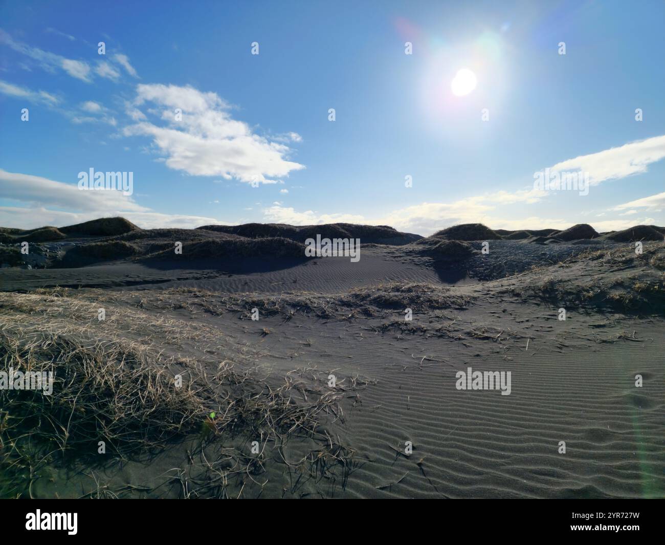 Natural icelandic beachfront with sand, ocean waves meets the land on ...