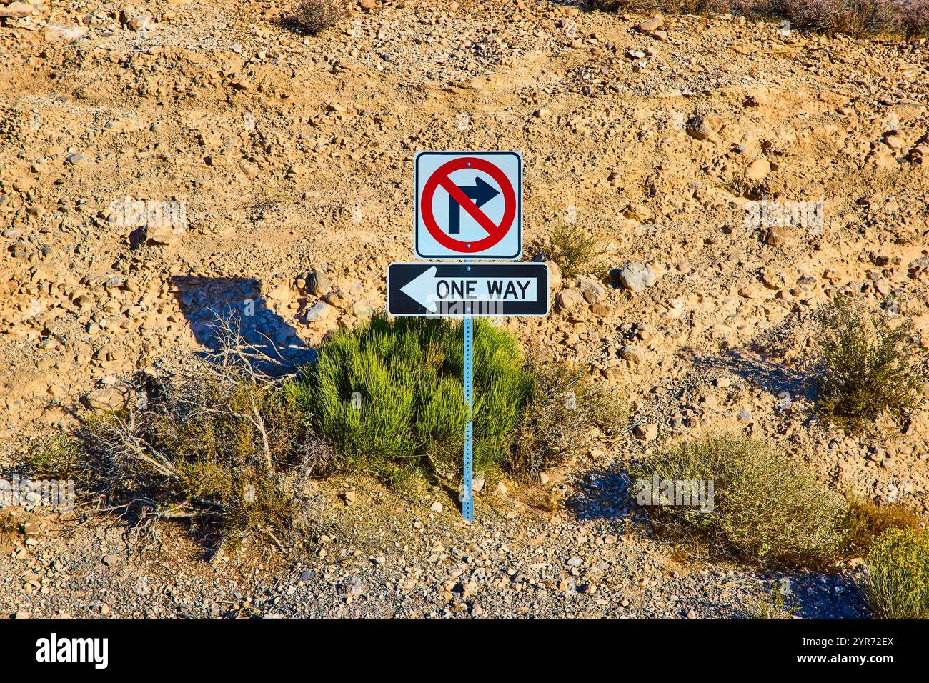 Desert Road Signs Mountain Springs Nevada from Eye-Level Perspective ...