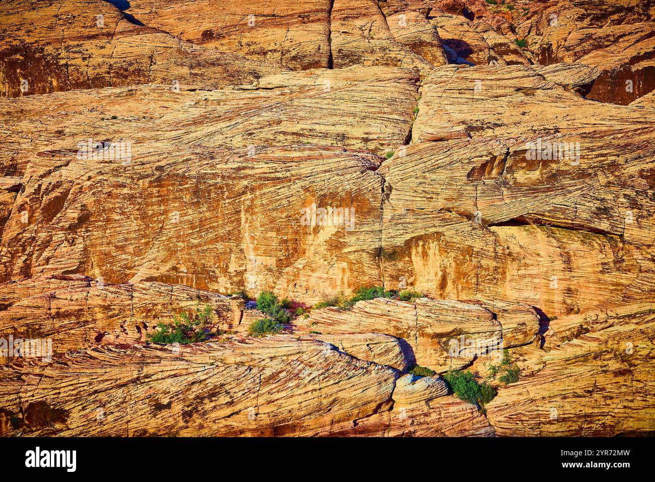 Rugged Sandstone Patterns with Greenery at Eye Level Stock Photo - Alamy