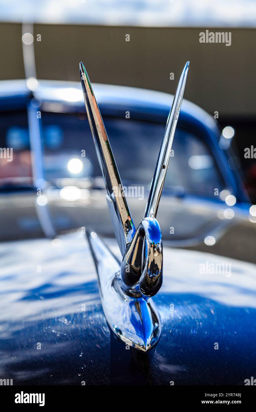 A car has a silver emblem on the hood that looks like a bird. The ...