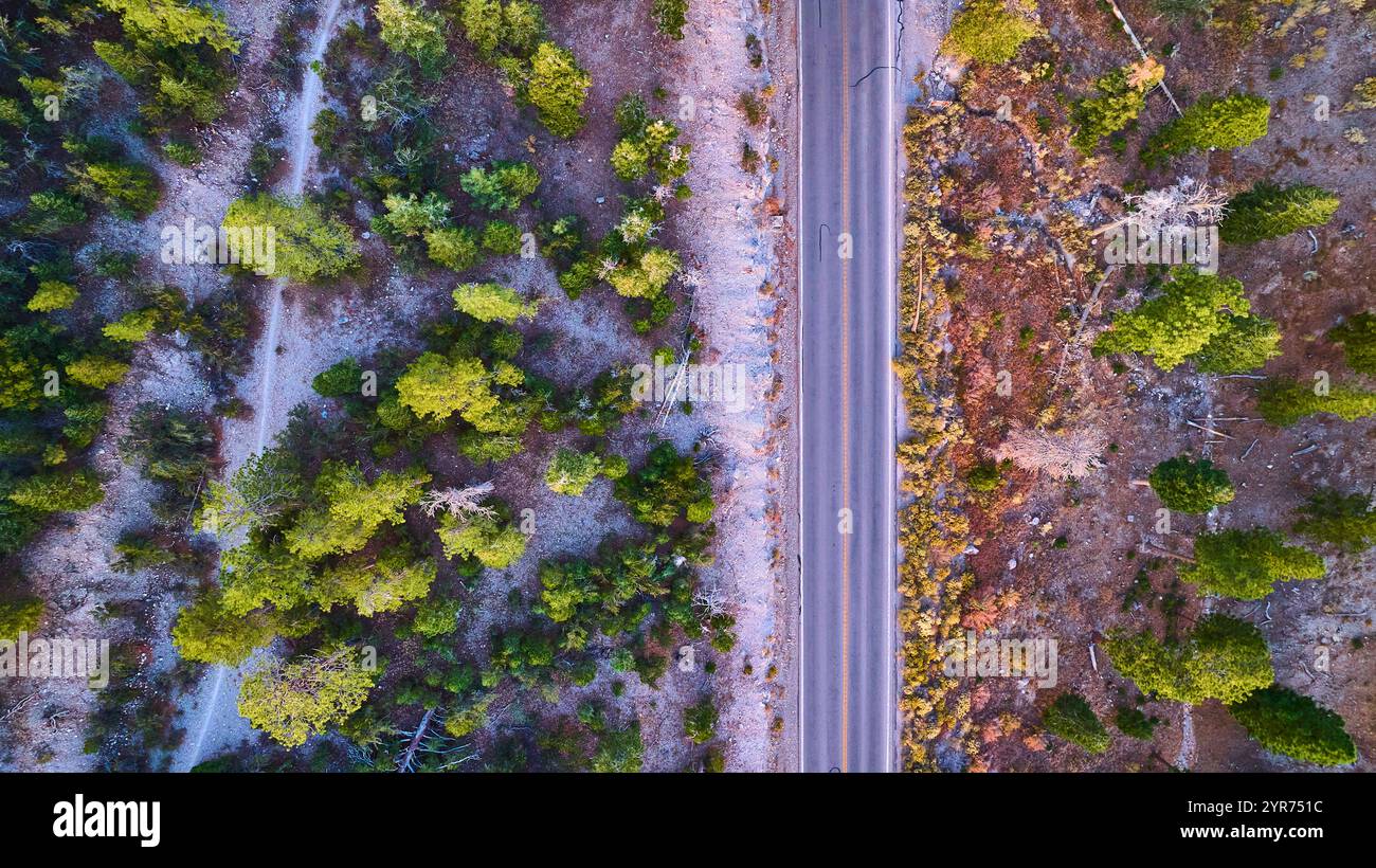 Scenic aerial perspective forest mt hi-res stock photography and images ...
