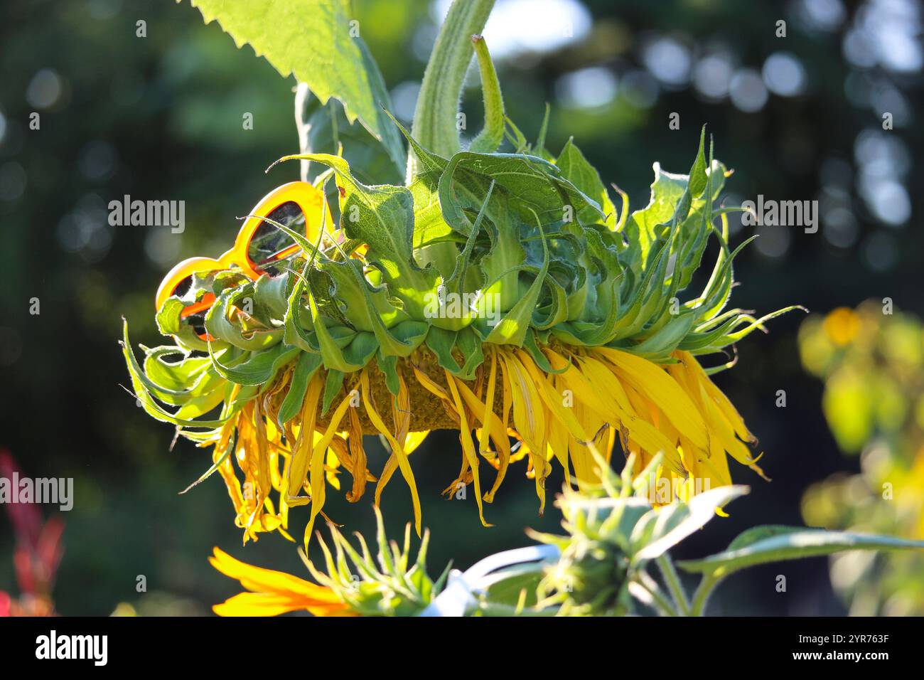 Lexington project hi-res stock photography and images - Alamy