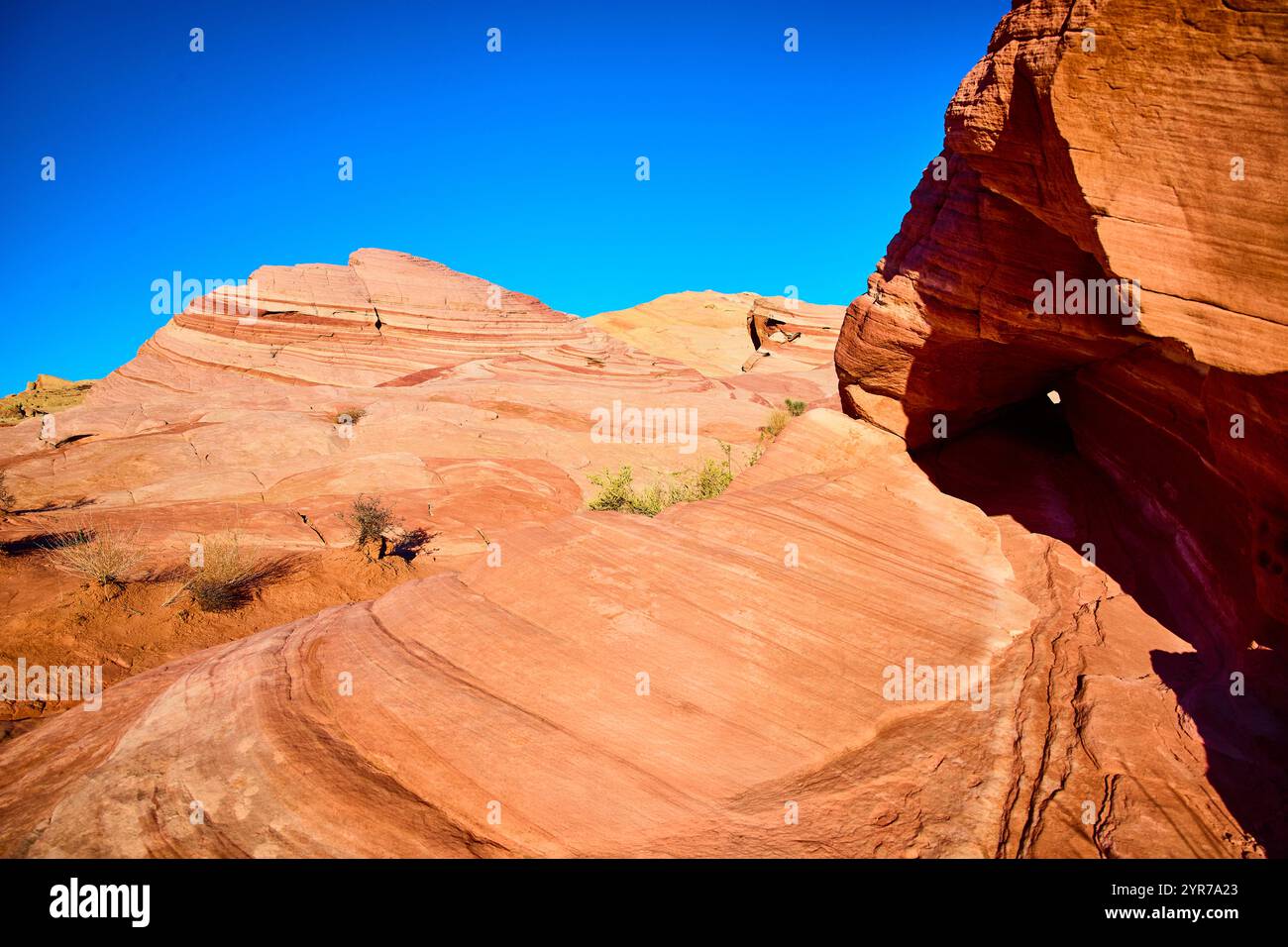 Desert Rock Formations under Blue Sky in Valley of Fire Eye-Level View ...