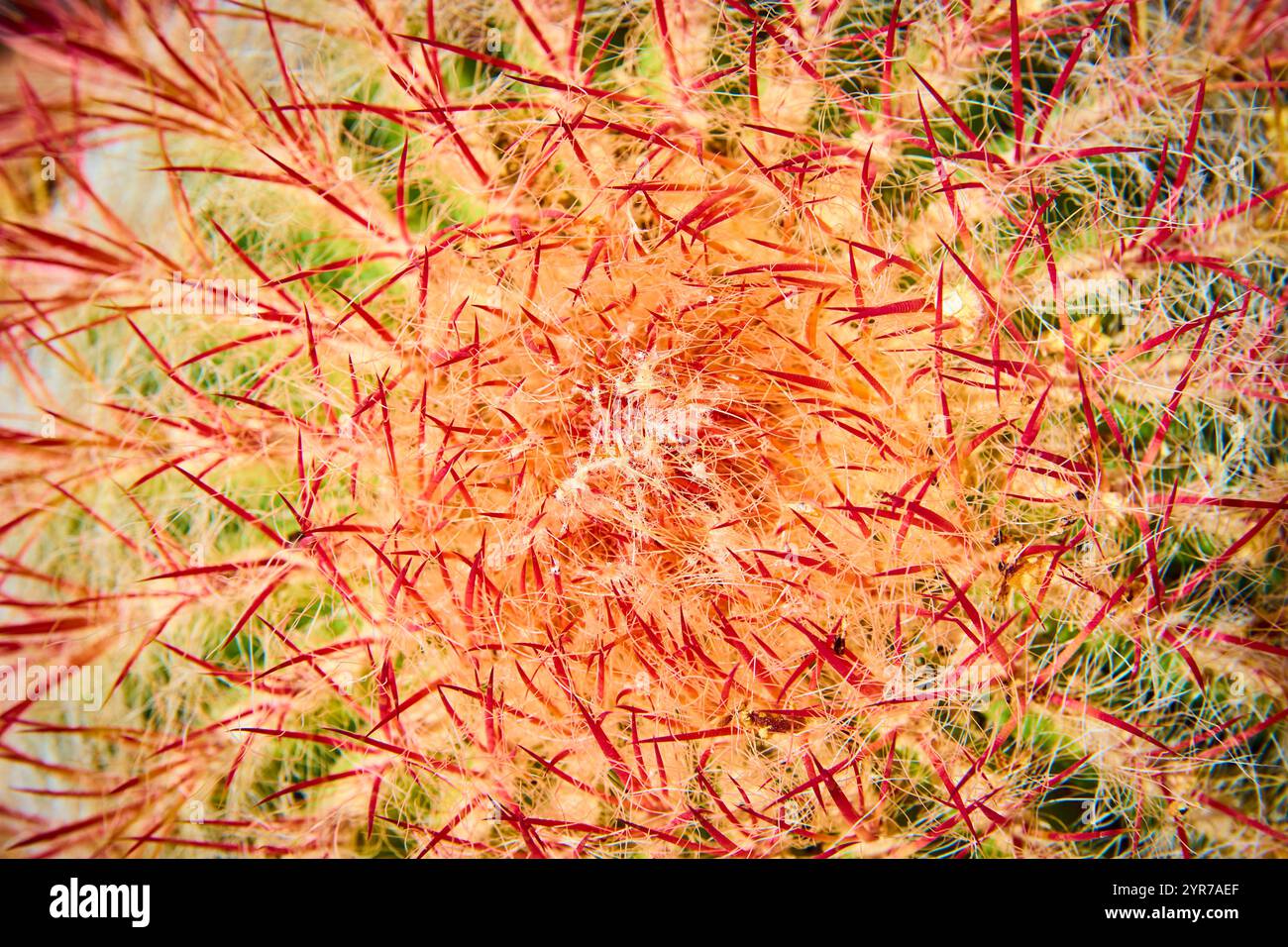 Radiating pattern hi-res stock photography and images - Alamy