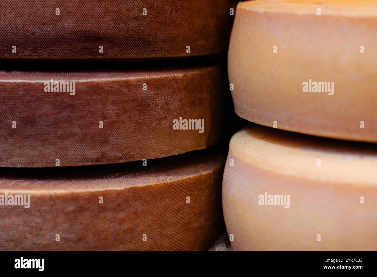 Stacked Brown and Yellow Cheese Wheels in Storage Stock Photo - Alamy