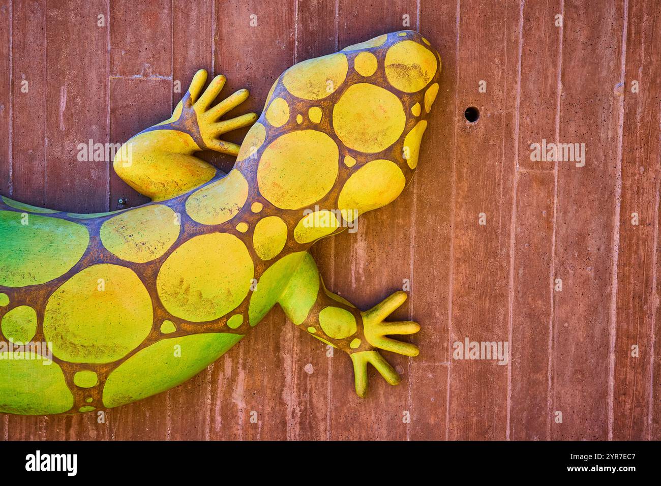 Whimsical Lizard Art on Wood Wall Eye-Level Perspective Stock Photo - Alamy