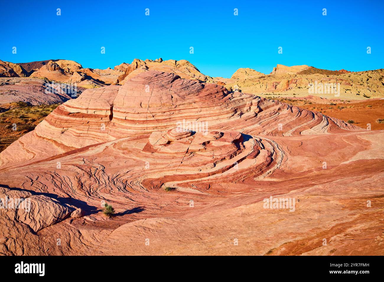 Swirling patterns in vibrant colors hi-res stock photography and images ...