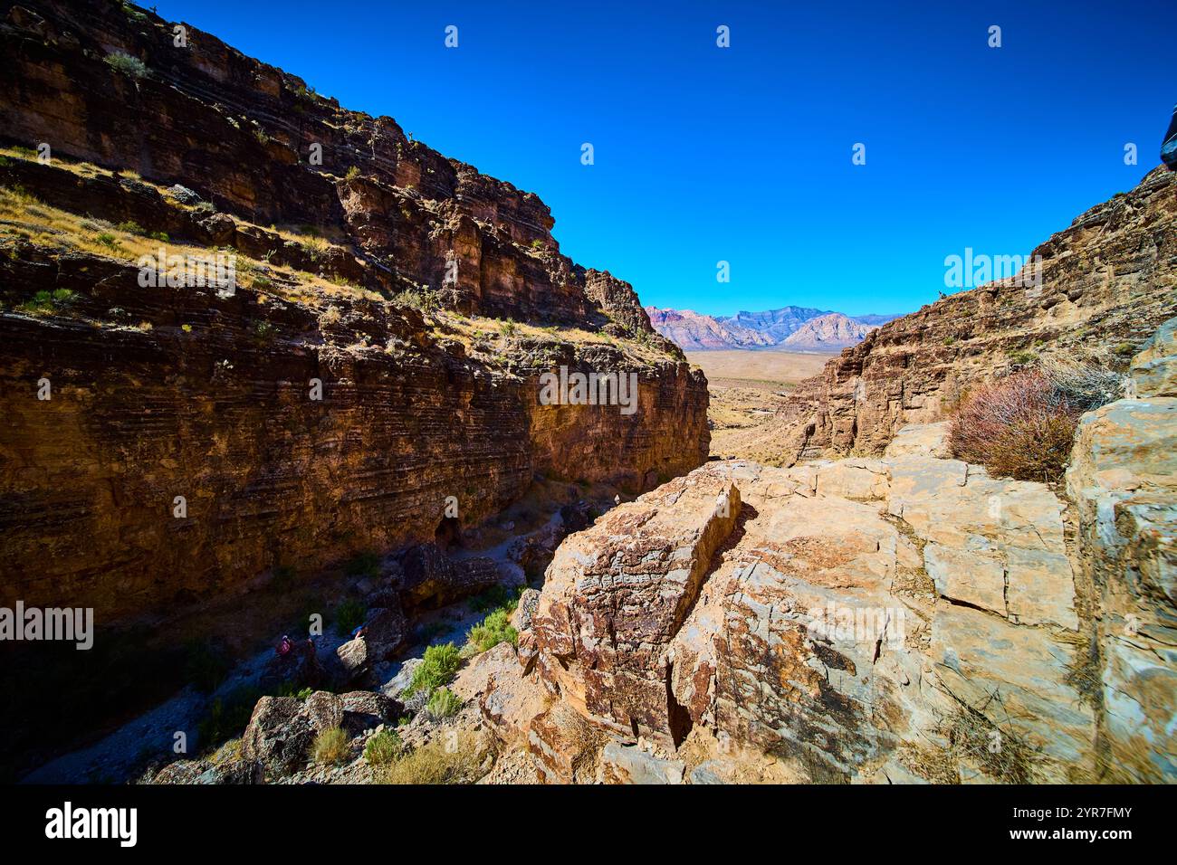 Rugged Desert Cliffs Cowboy Canyon Nevada Eye Level Perspective Stock ...