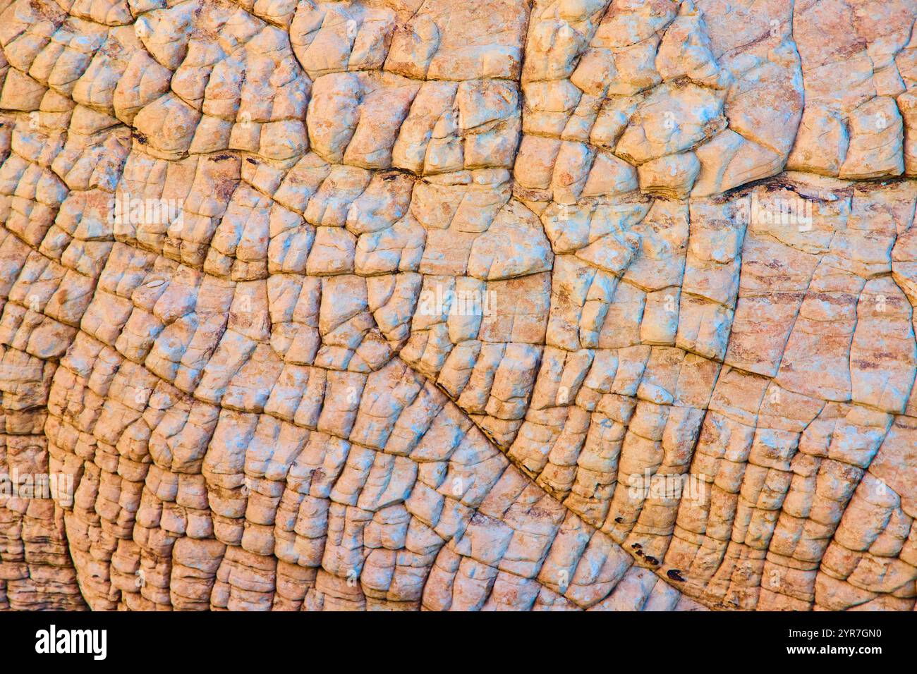 Textured Rock Patterns in Red Rock Canyon Close-Up Perspective Stock ...