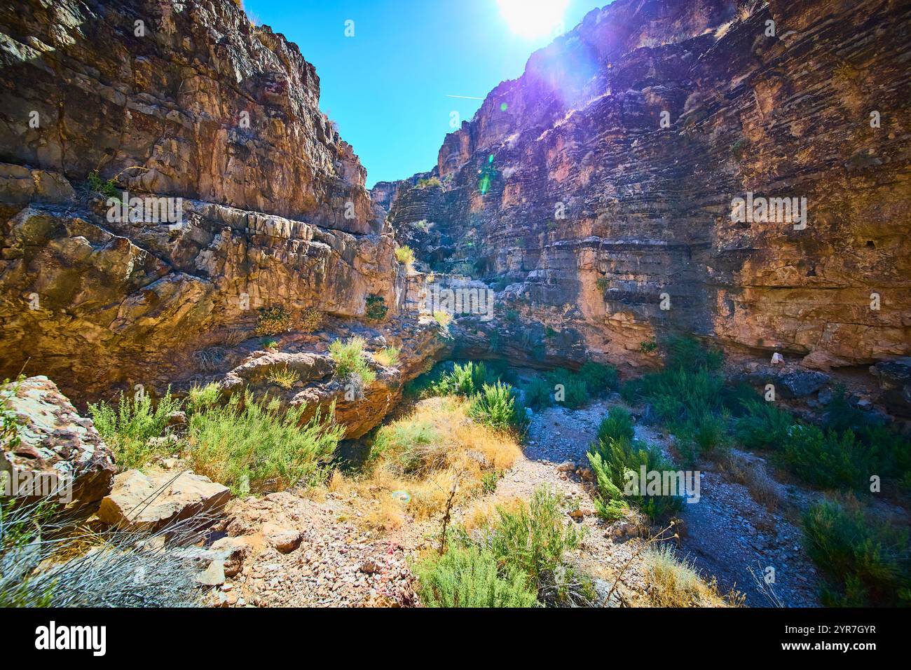 Rugged Desert Canyon with Lens Flares Cowboy Canyon Midday Perspective ...