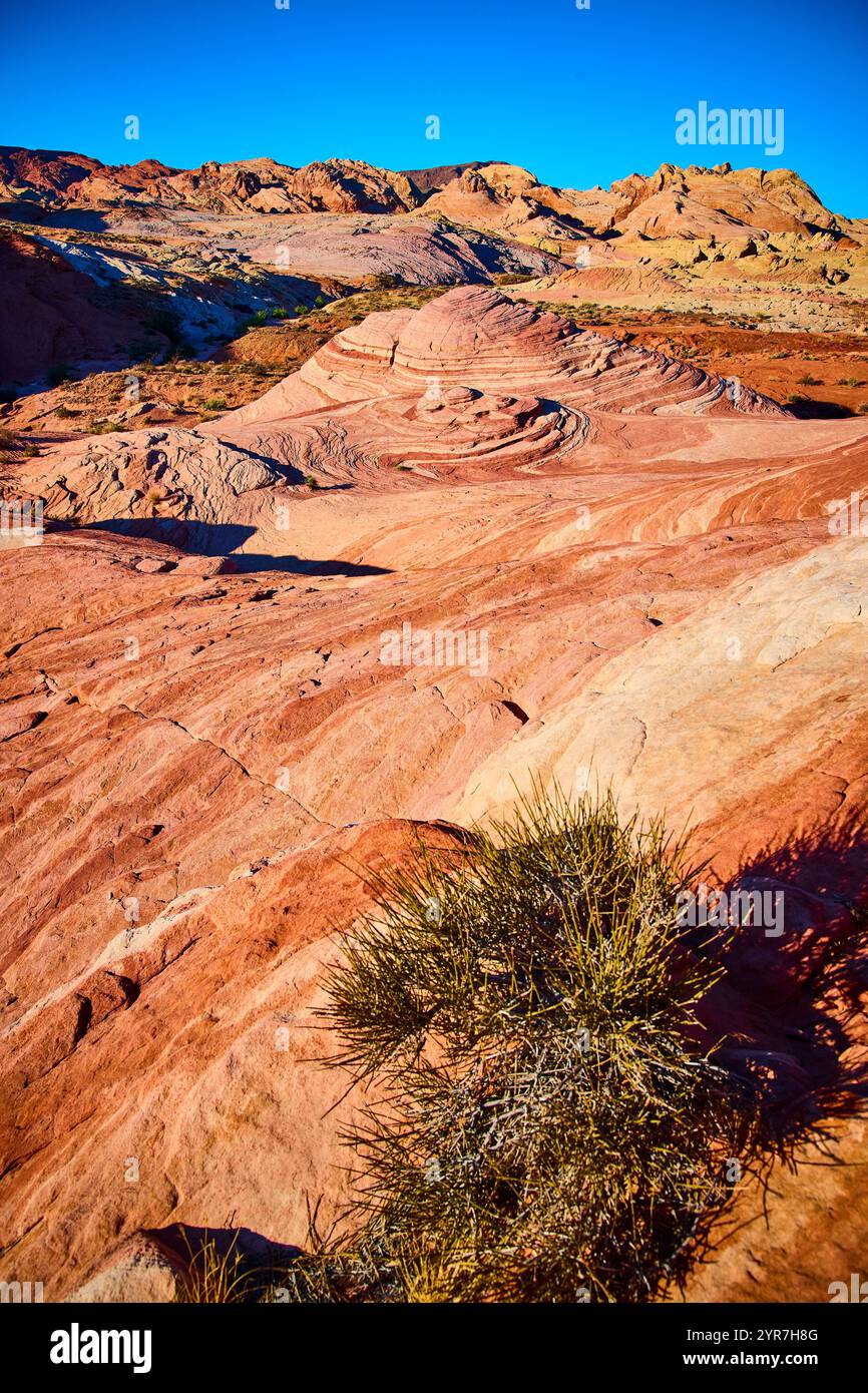 Valley of Fire Sandstone Formations and Desert Hills High Perspective ...