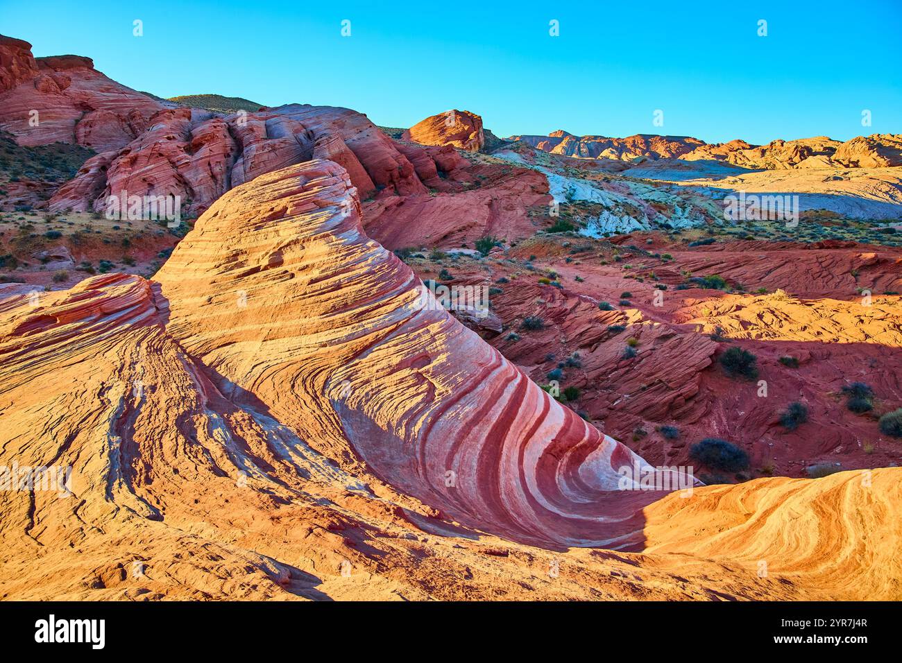 Fire Wave Sandstone Swirls in Afternoon Glow Moapa Valley Aerial Stock ...