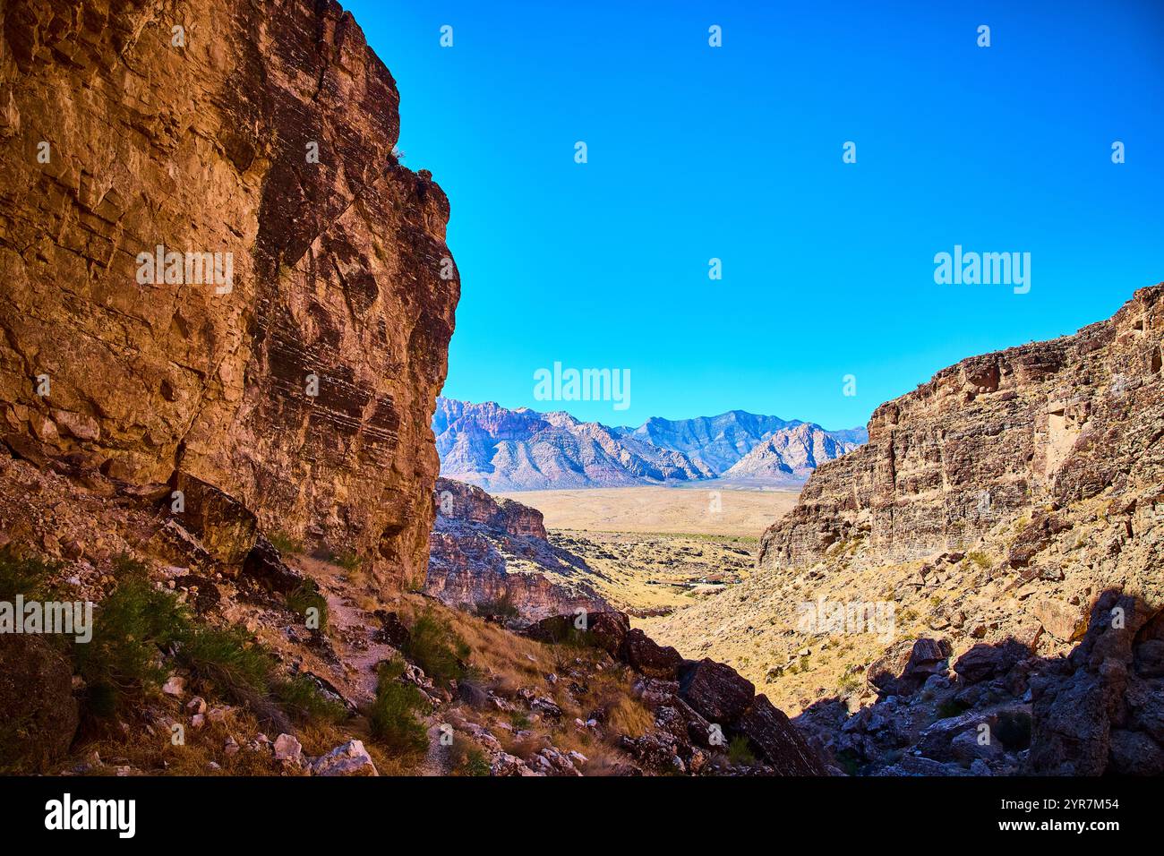 Desert Canyon and Mountains in Nevada Eye Level Perspective Stock Photo ...