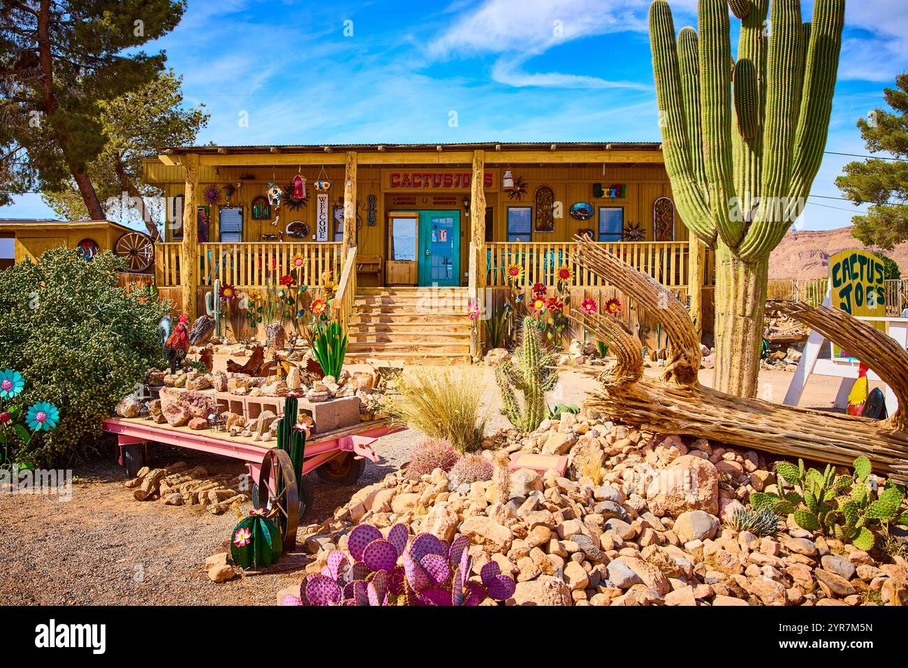 Rustic Desert Storefront with cactus in Bright Sunlight Eye Level View ...