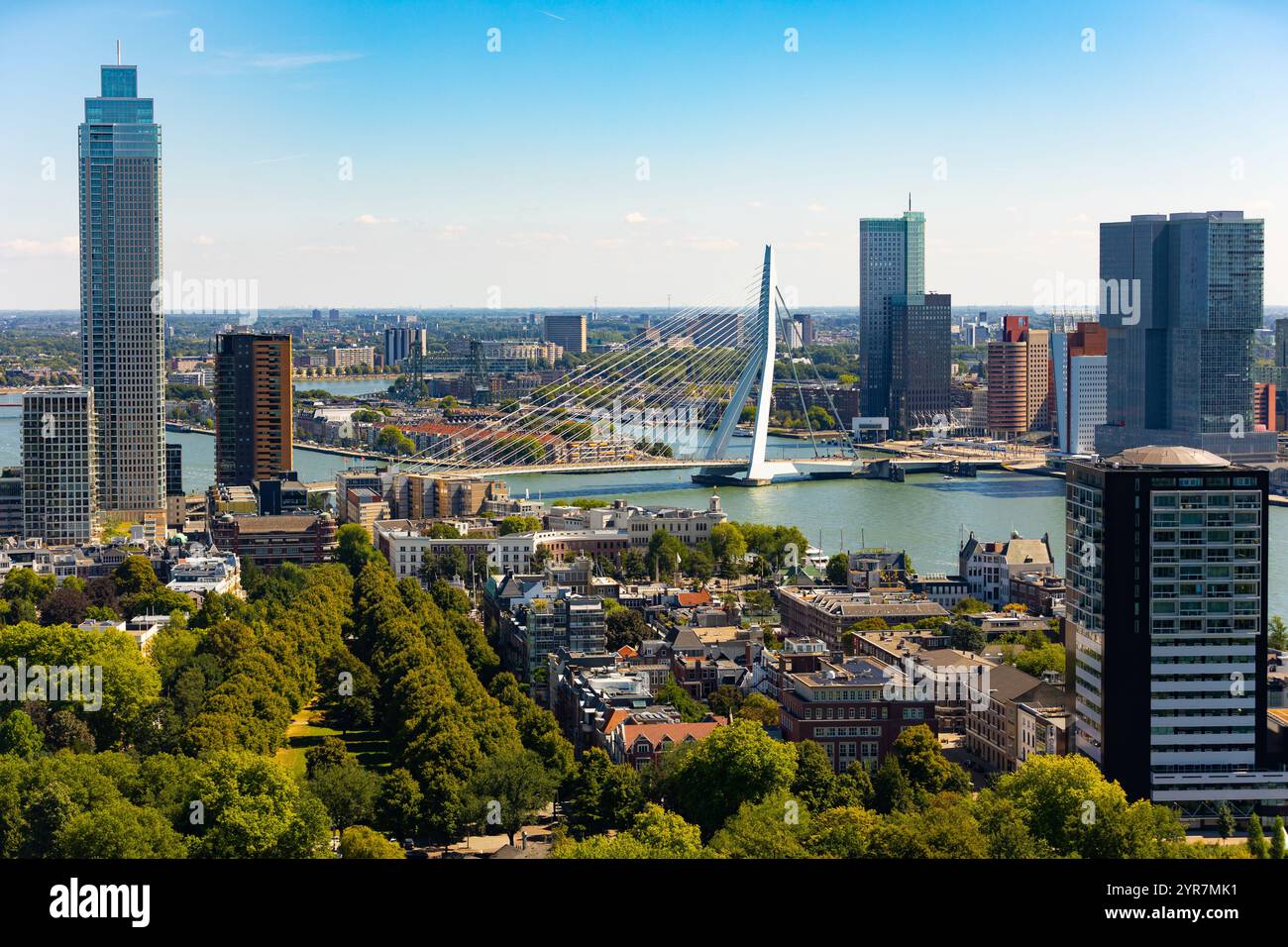 Rotterdam, Netherlands. City skyline on beautiful sunny day Stock Photo ...