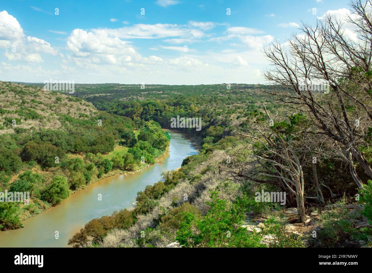 Scenic view of the Texas Hill Country trees, branches, and Colorado ...