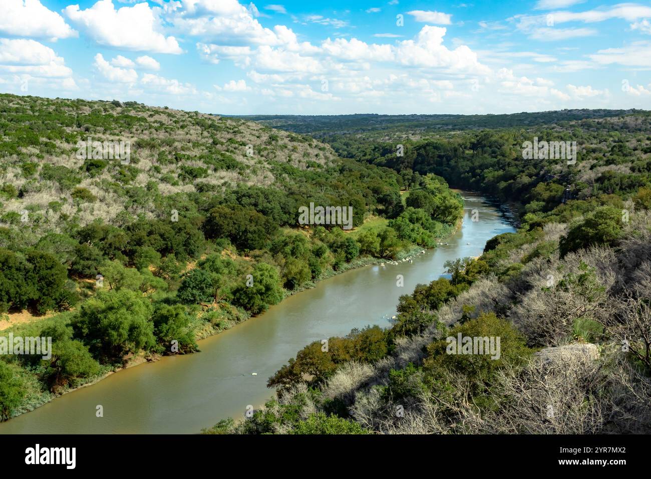 Scenic view of the Texas Hill Country trees, branches, and Colorado ...