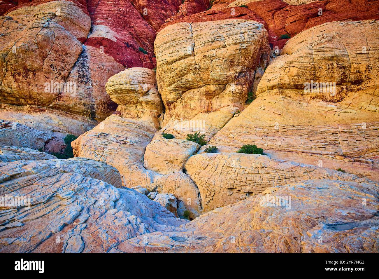 Red Rock Canyon Vivid Geology and Textures at Golden Hour Eye Level ...