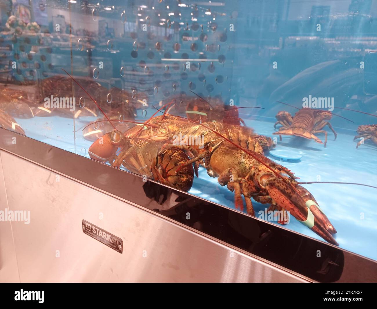 Toronto, On, Canada - August 28, 2024: View at the seafood department ...