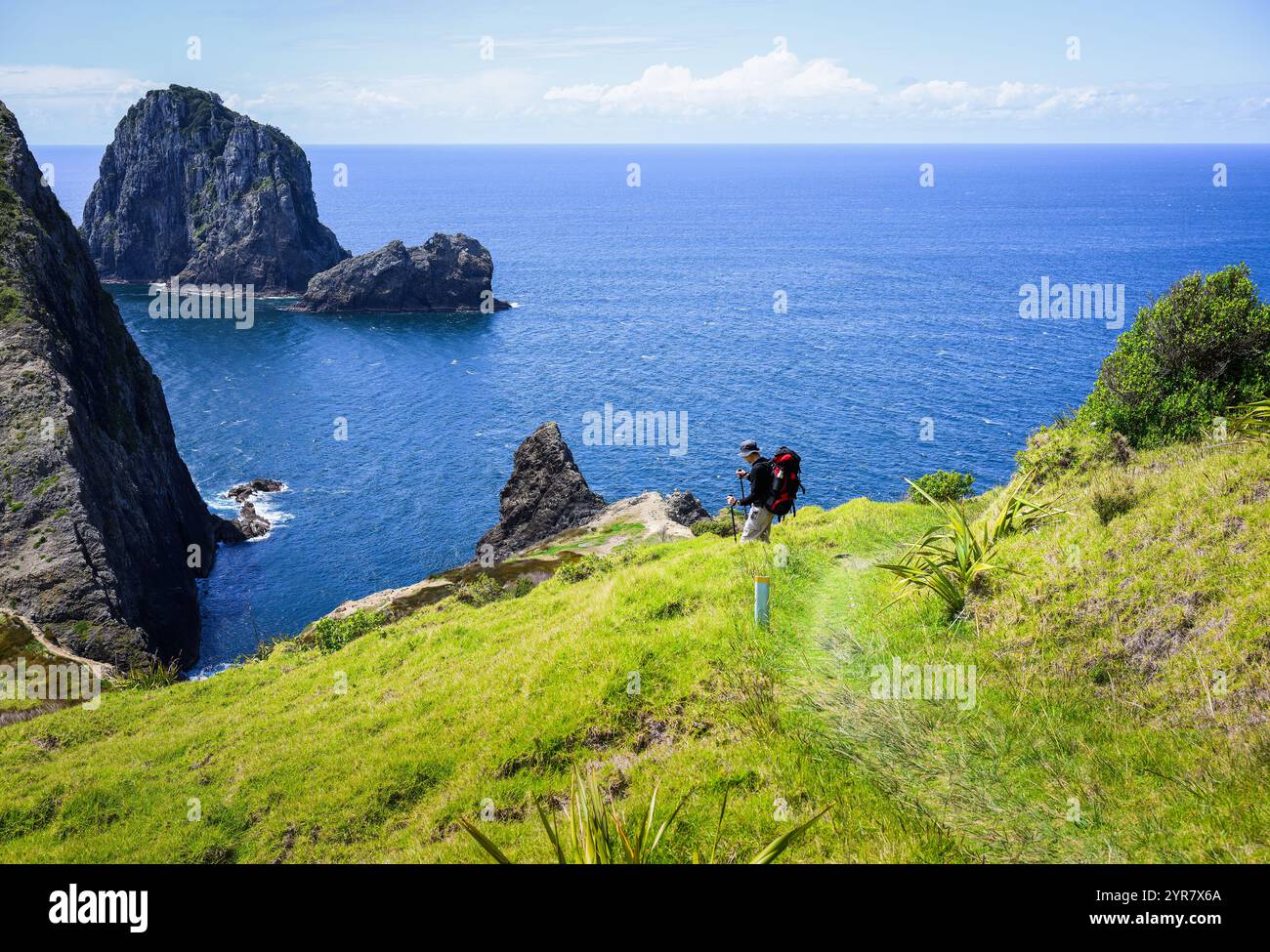 Backpacker hiking Cape Brett Track. Piercy Island, also known as The ...