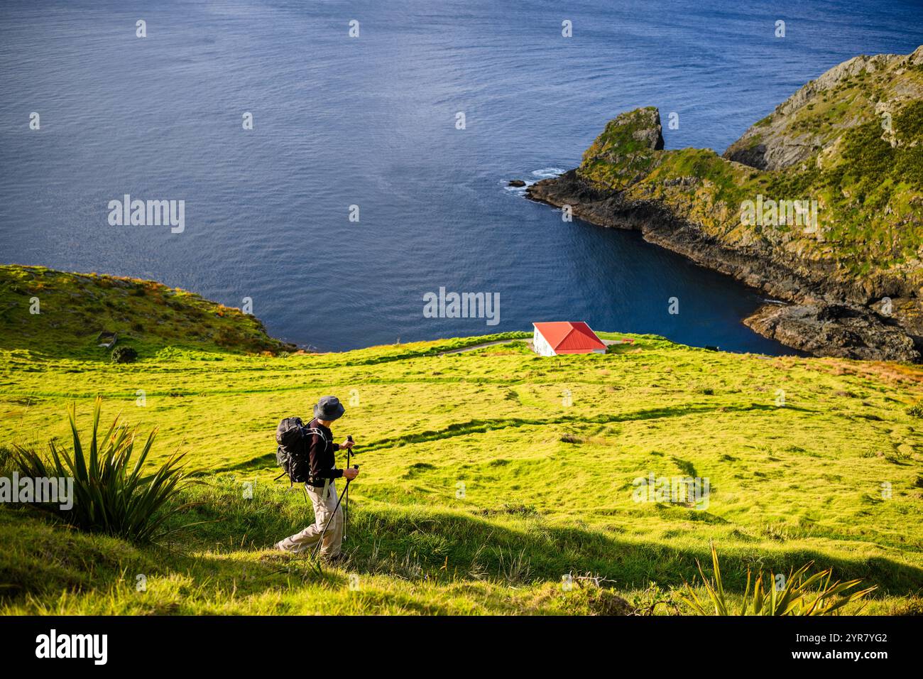 Backpacker hiking towards Cape Brett Hut at the end of Cape Brett ...