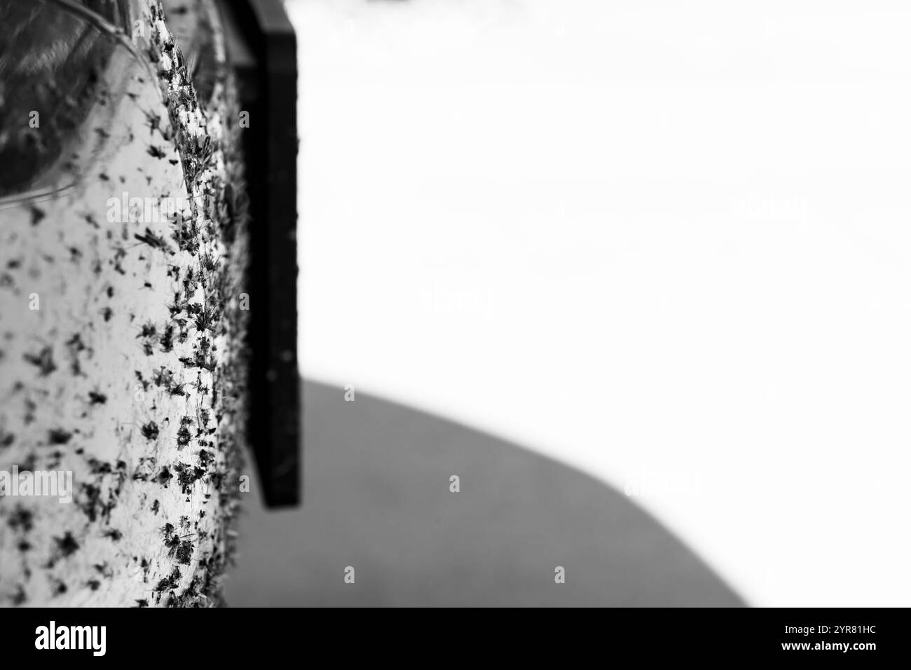 Squished and smeared dead bugs on the front grill of a vehicle Stock ...