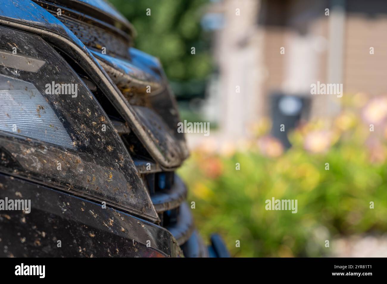 Squished and smeared dead bugs on the front grill of a vehicle Stock ...