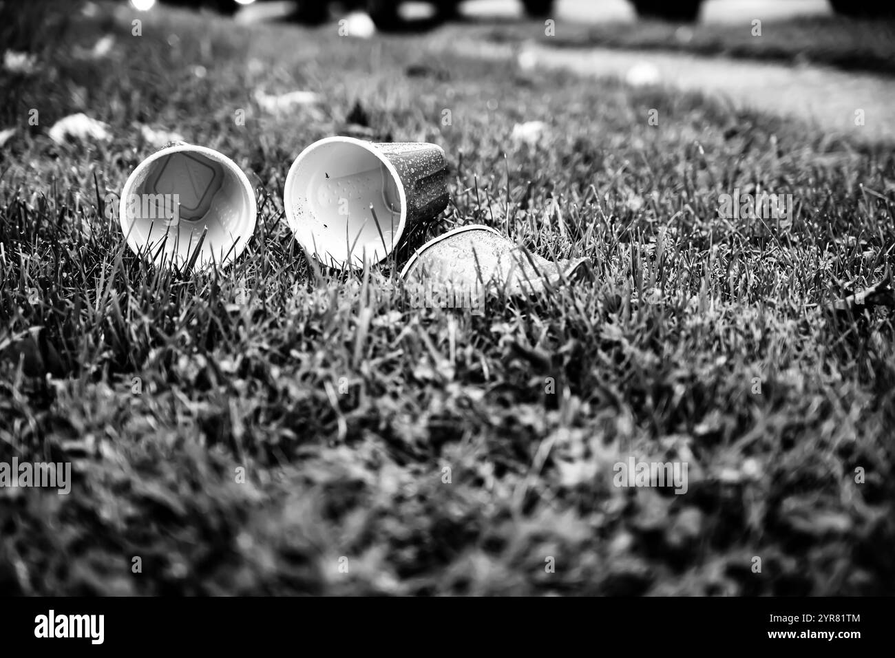 Crushed and discarded red plastic cups after a college party Stock ...