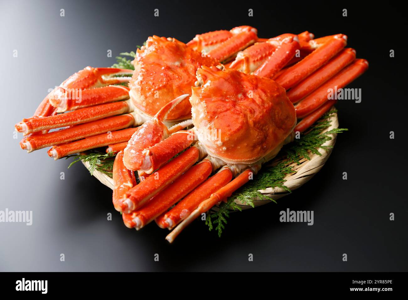 2 snow crabs Stock Photo - Alamy