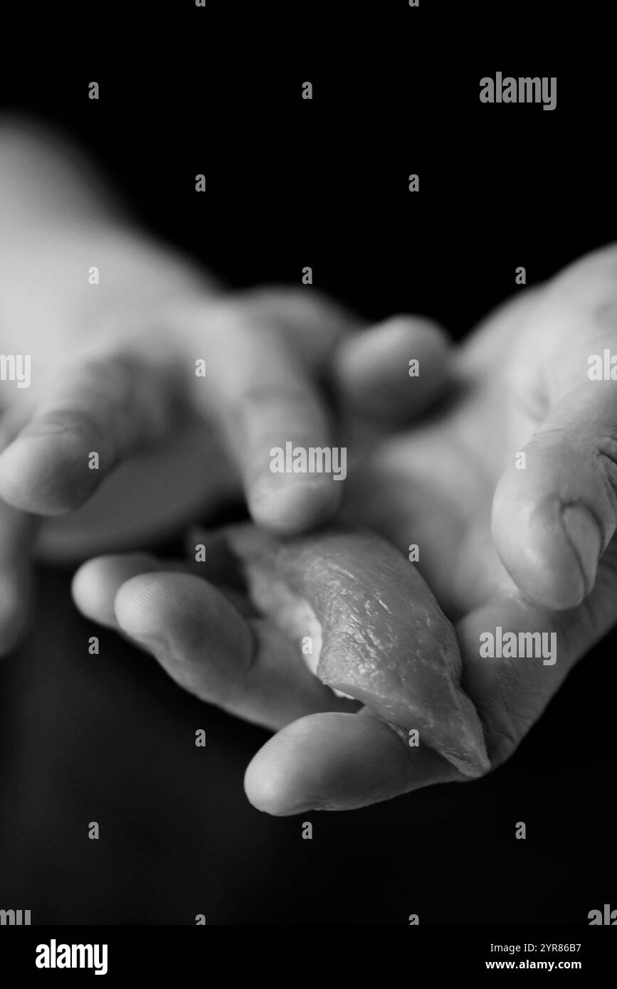 Food japan chef Black and White Stock Photos & Images - Alamy