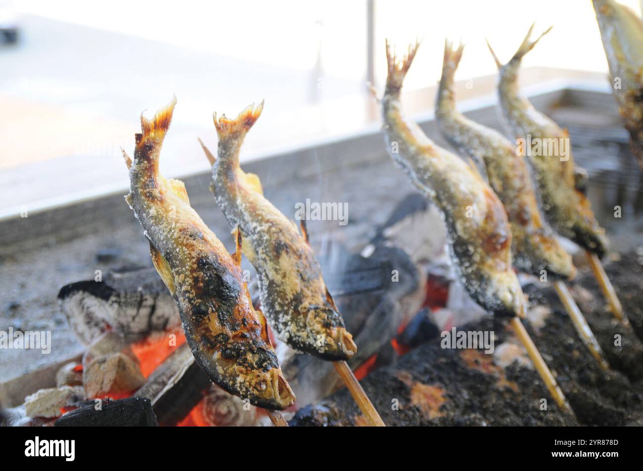 Masu salmon hi-res stock photography and images - Alamy