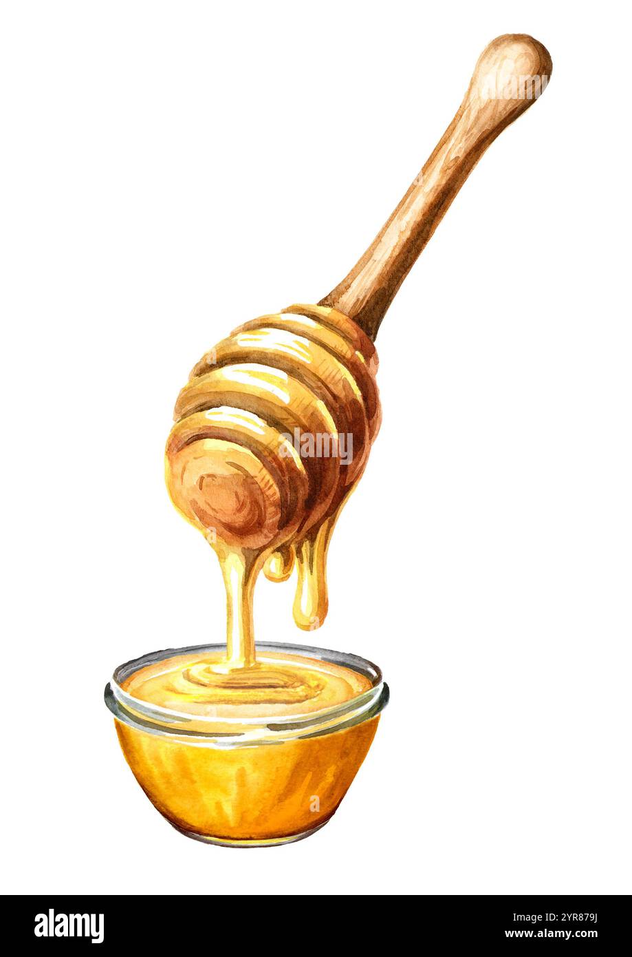Sweet honey in the glass bowl with wooden dipper. Watercolor hand drawn ...